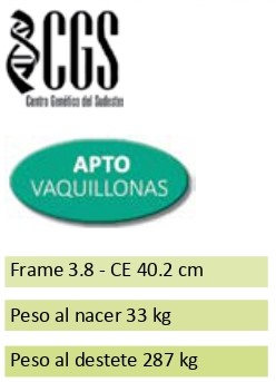 CORAJUDO - Lider Global