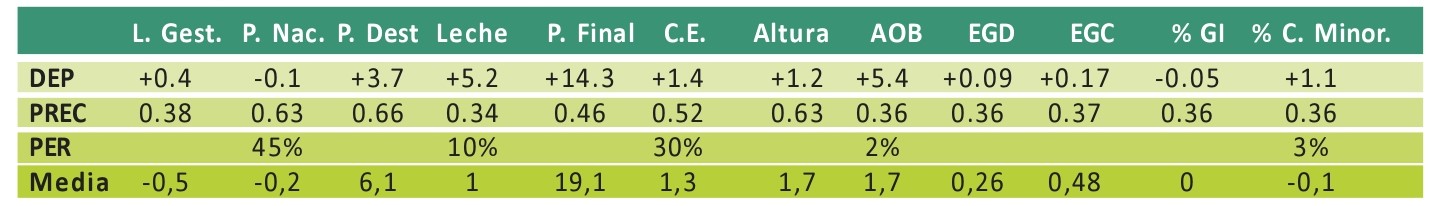CORAJUDO - Lider Global