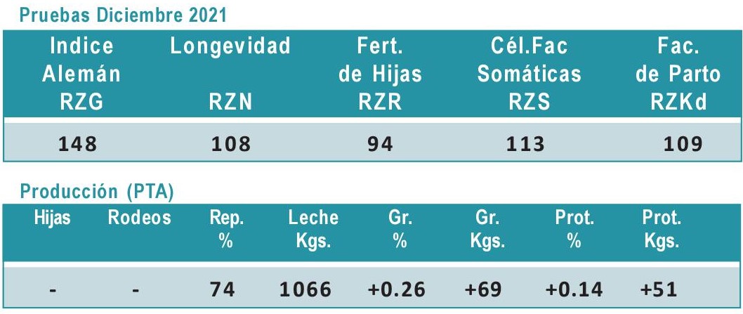 SIR-RED - Lider Global